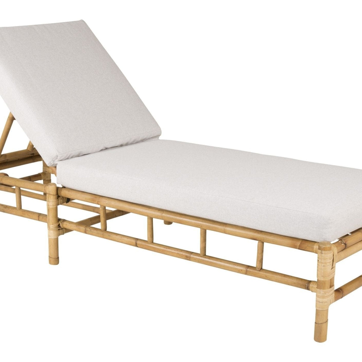 Cane Solseng, Bambus – Botrendy