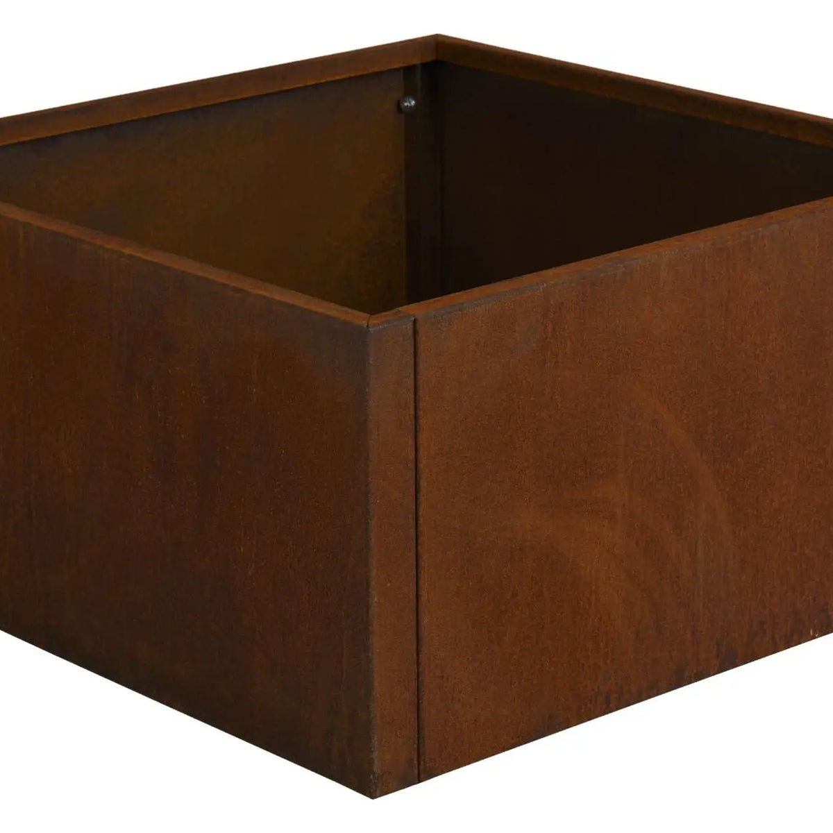 Kummin Blomsterkumme, 80x80 – Botrendy
